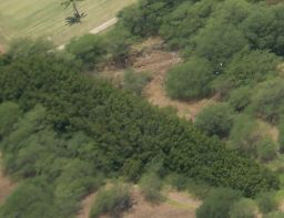 Iolani School Virtual Tour