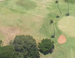 Iolani School Virtual Tour